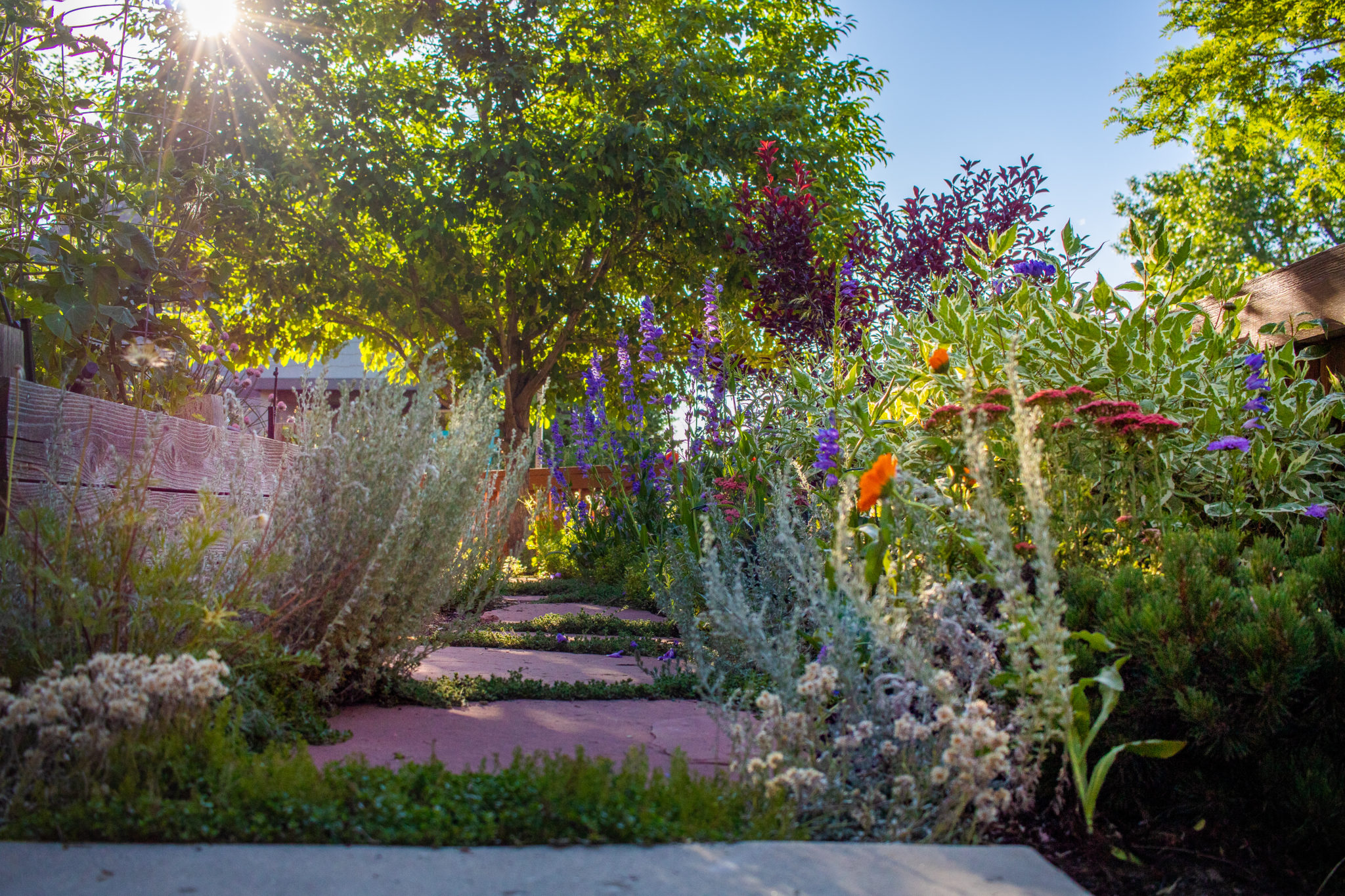 Inspiration Hub - Low Water Gardens Colorado - Waterwise Yards