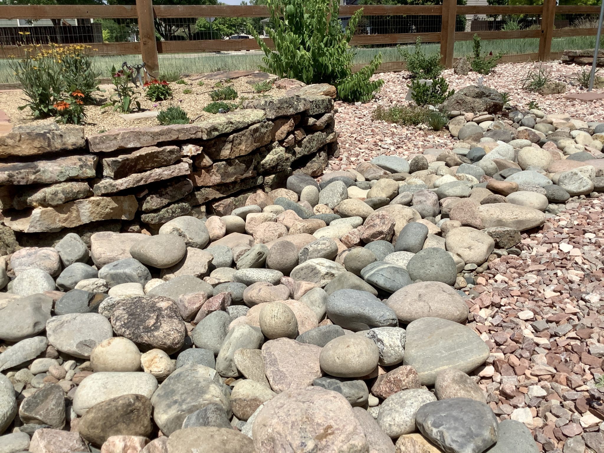Inspiration Hub - Low Water Gardens Colorado - Waterwise Yards