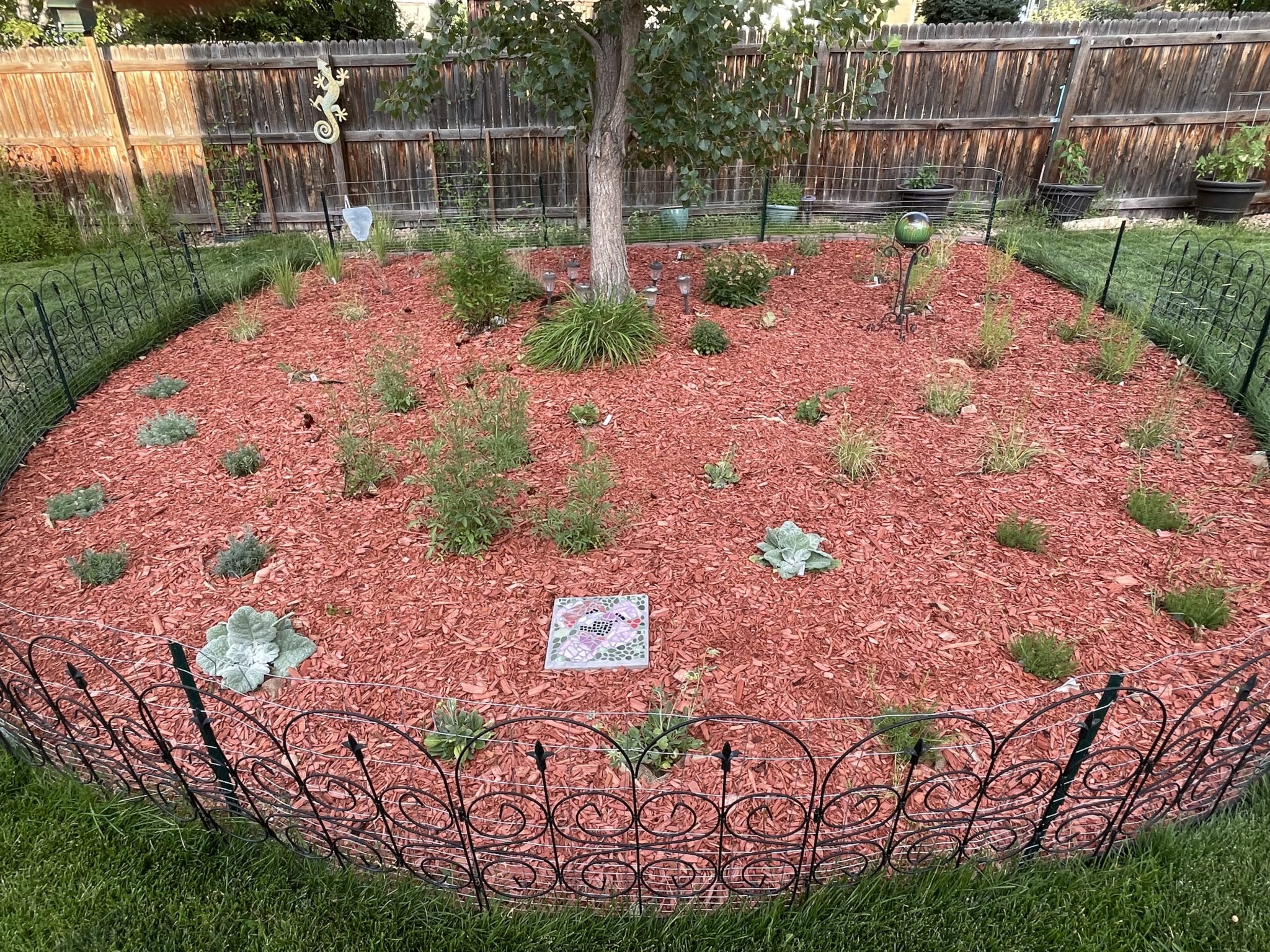 Inspiration Hub - Low Water Gardens Colorado - Waterwise Yards