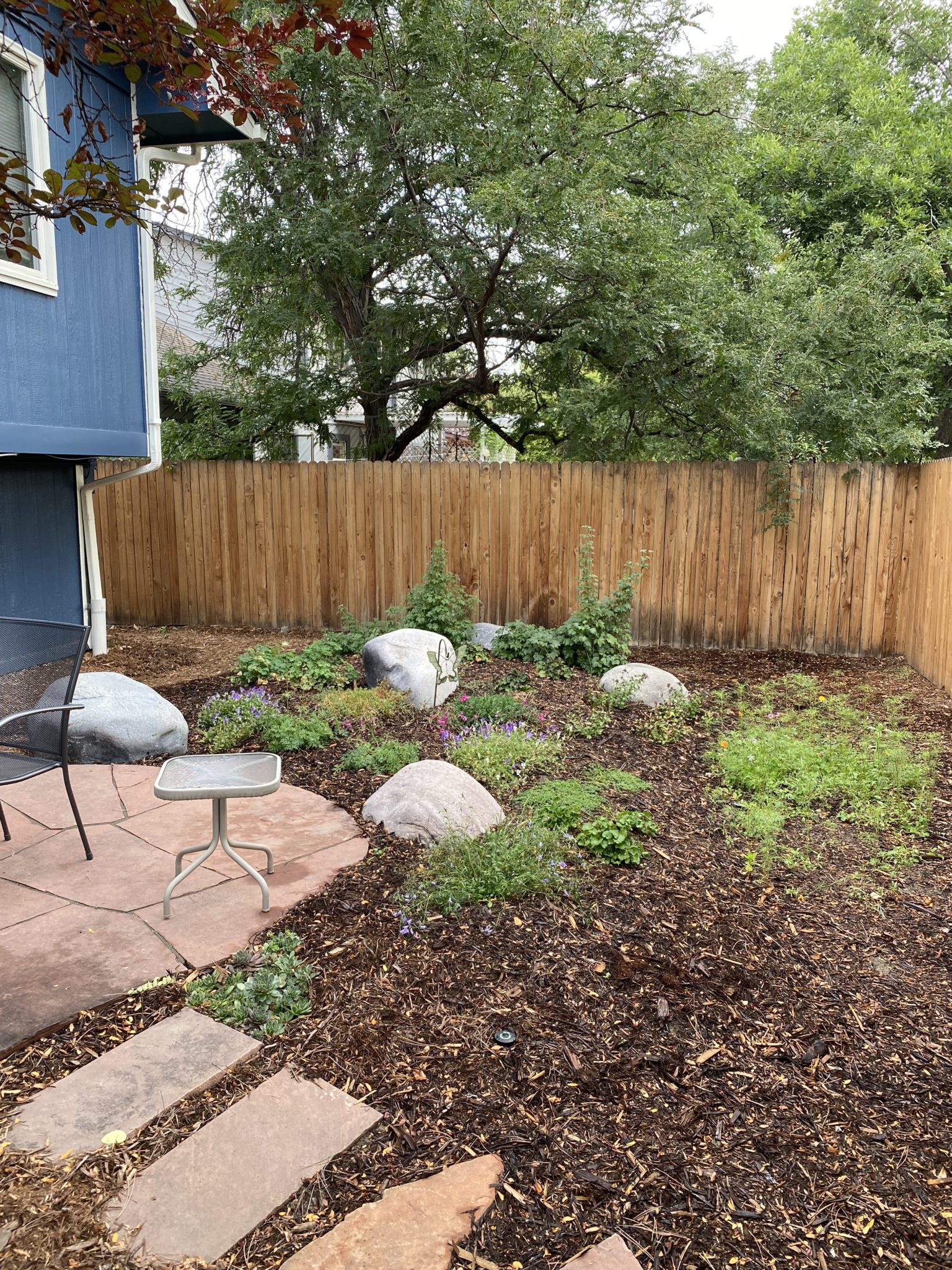 Inspiration Hub - Low Water Gardens Colorado - Waterwise Yards