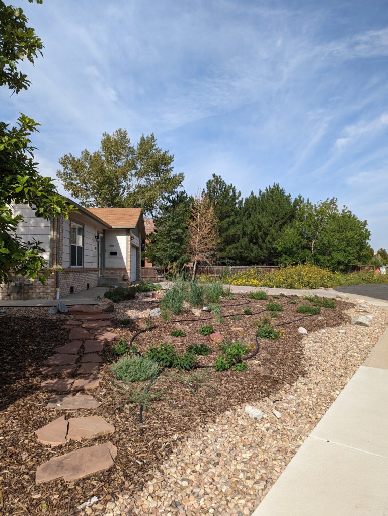 Double J Ranch Waterwise Yards
