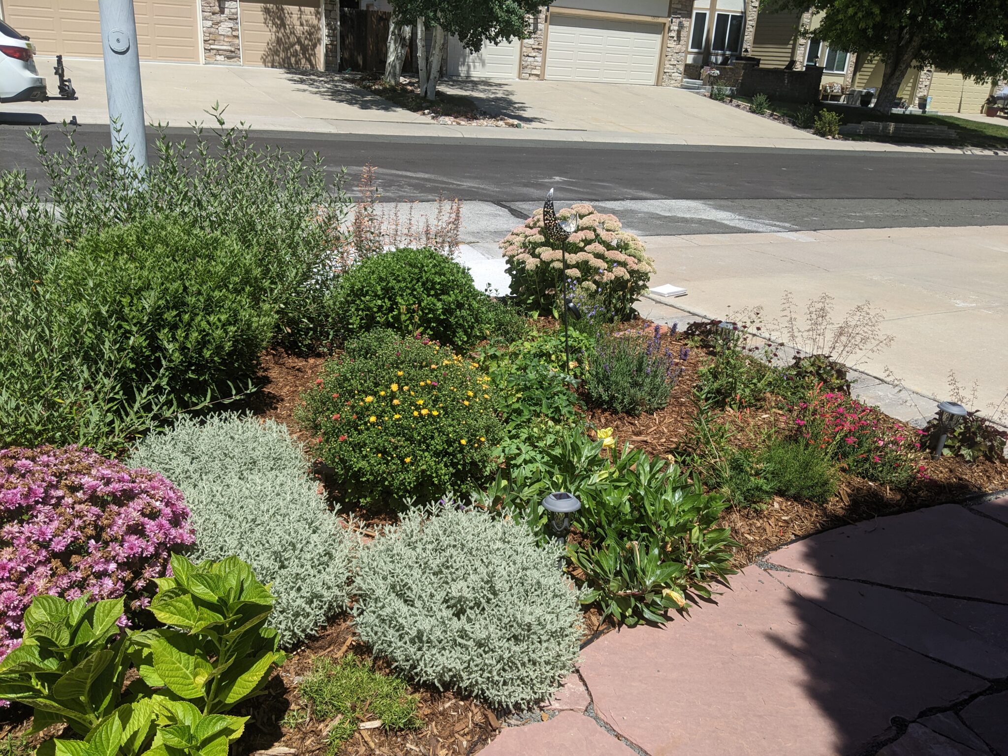 Inspiration Hub - Low Water Gardens Colorado - Waterwise Yards