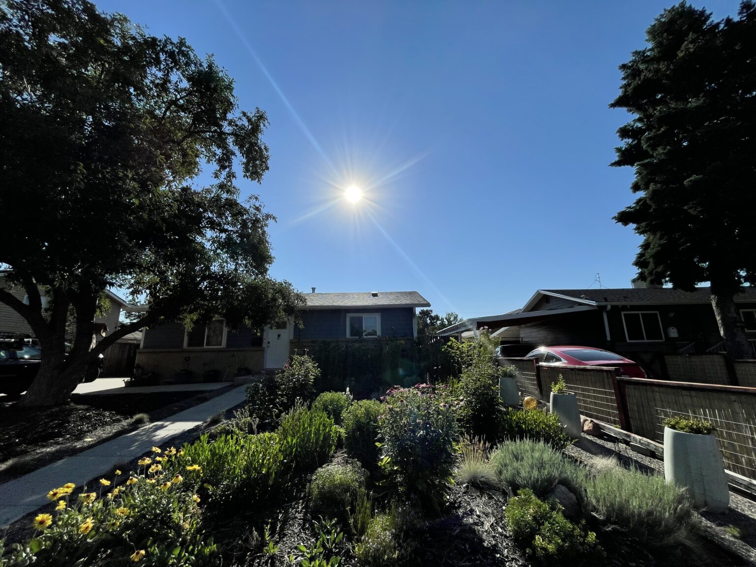 Inspiration Hub - Low Water Gardens Colorado - Waterwise Yards
