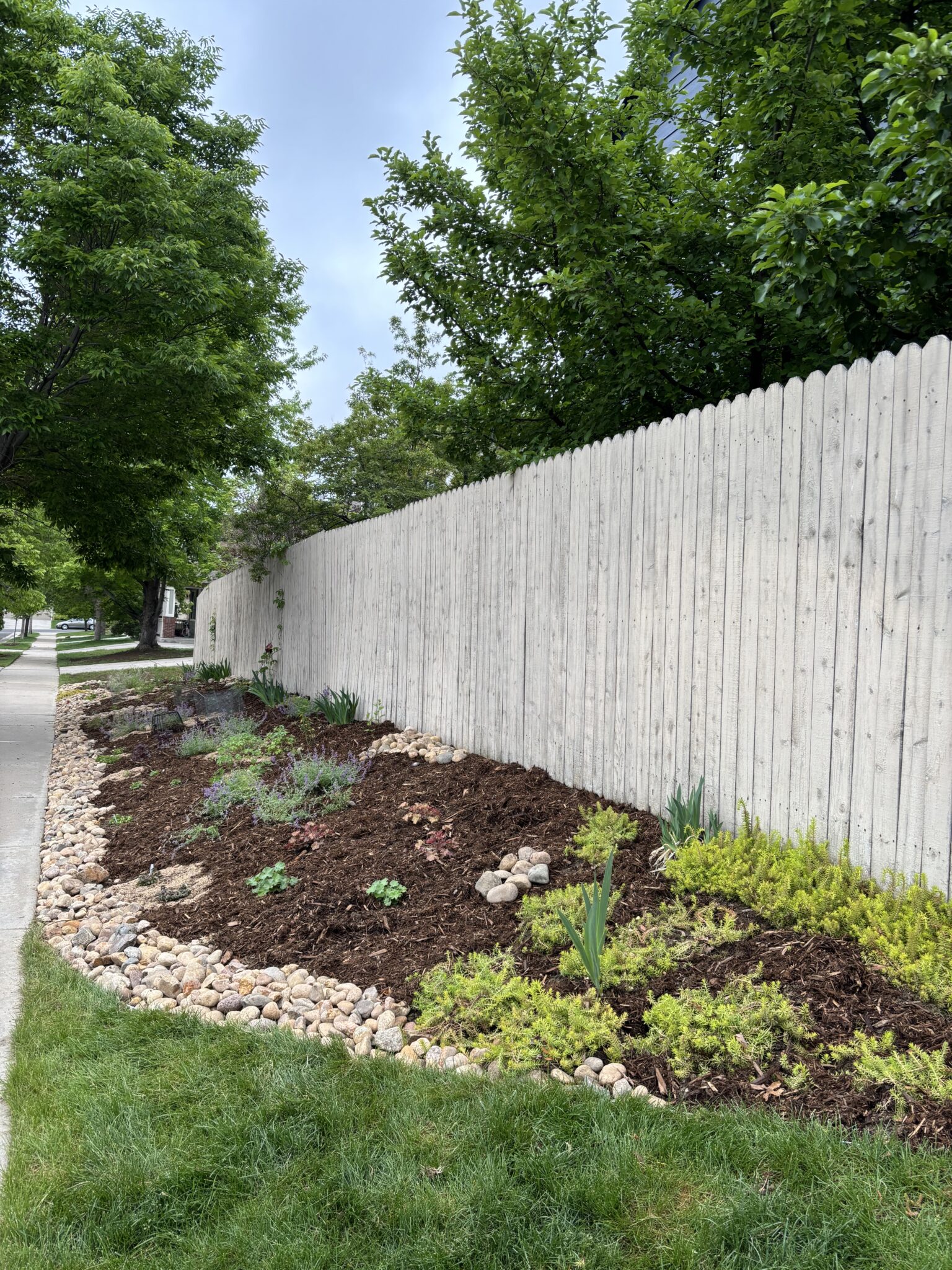 Inspiration Hub - Low Water Gardens Colorado - Waterwise Yards